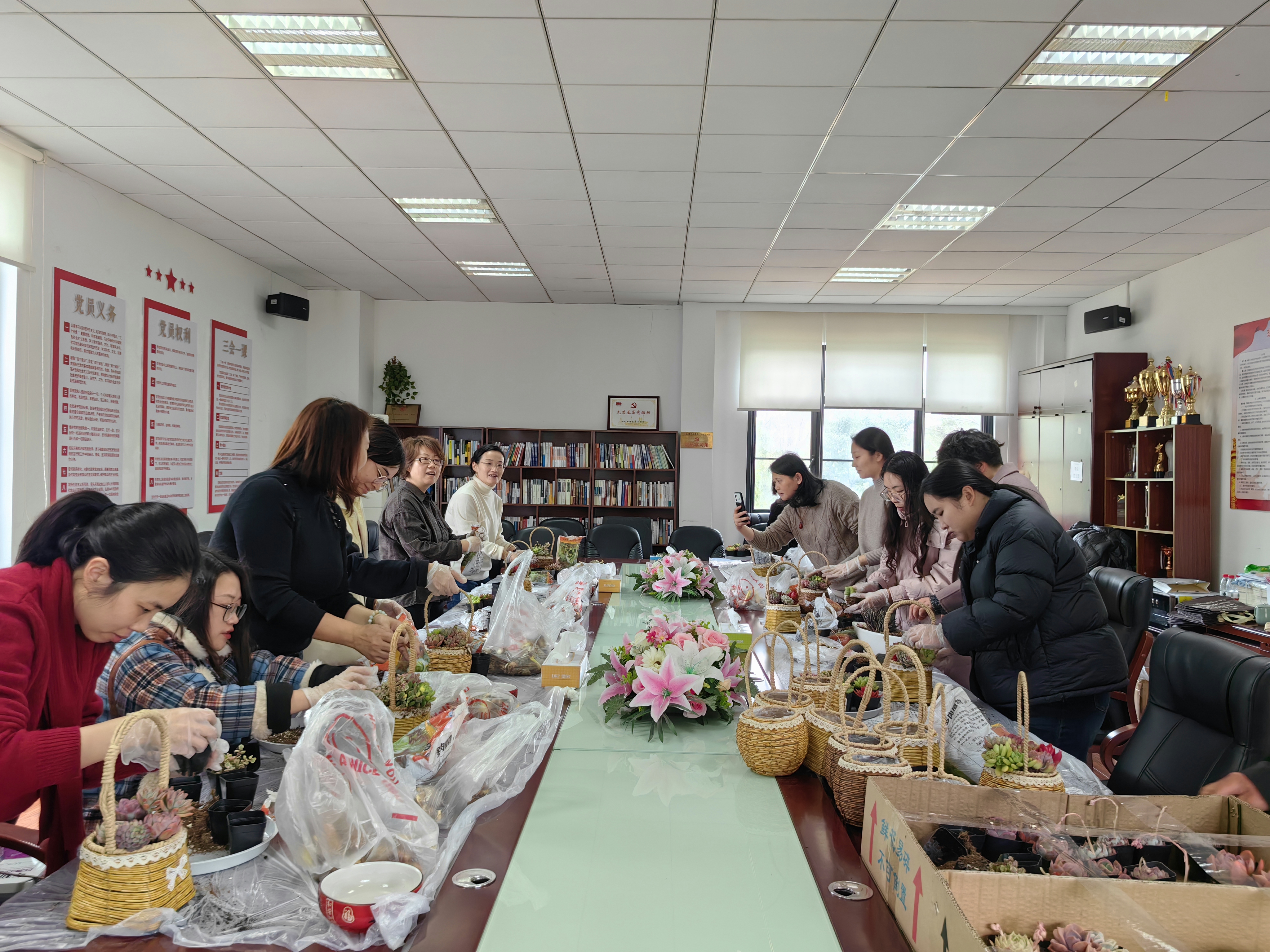 经济法学院举办三八妇女节多肉植物栽培活动